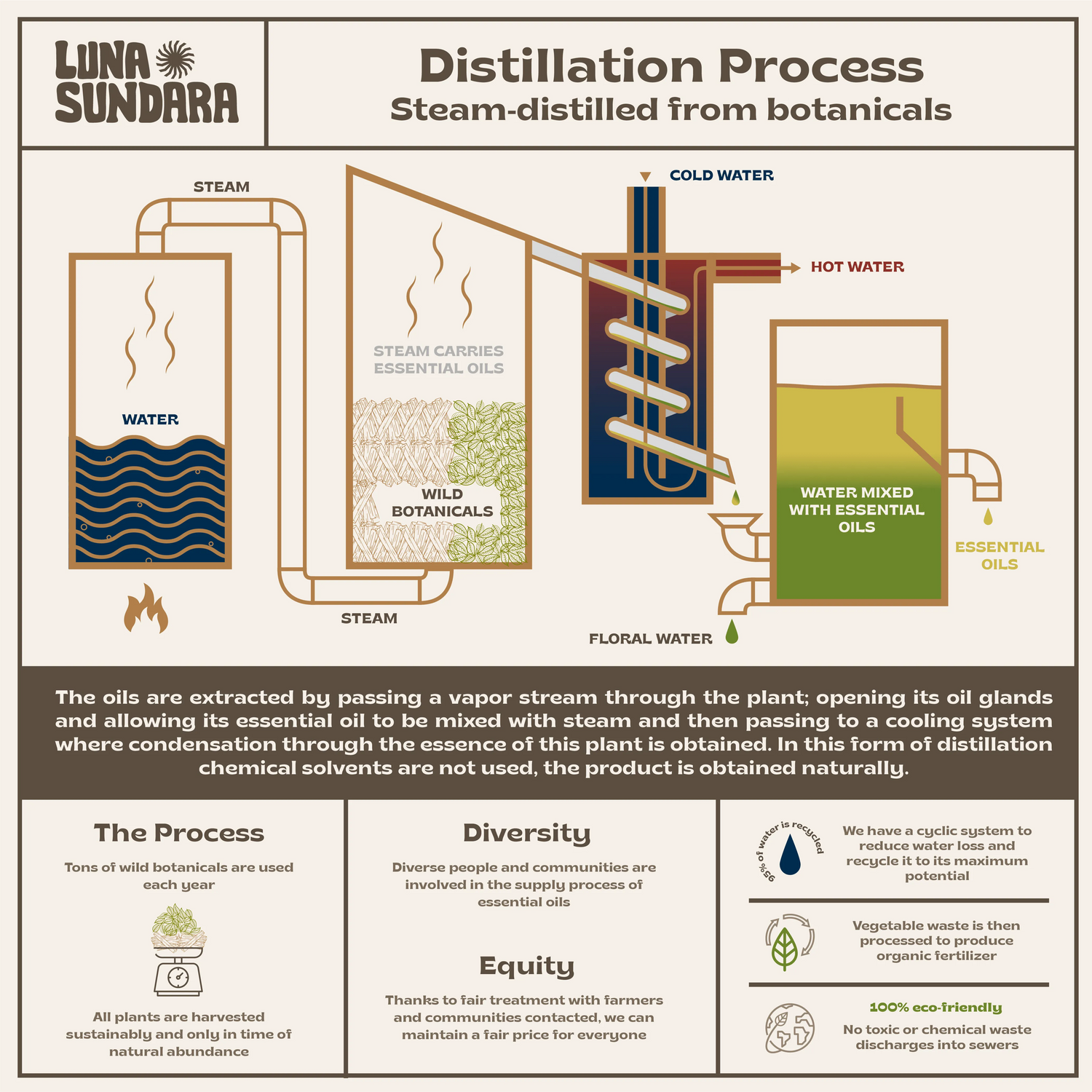 Muna Essential Oil 15 ml. 100% Pure WildCrafted – Luna Sundara